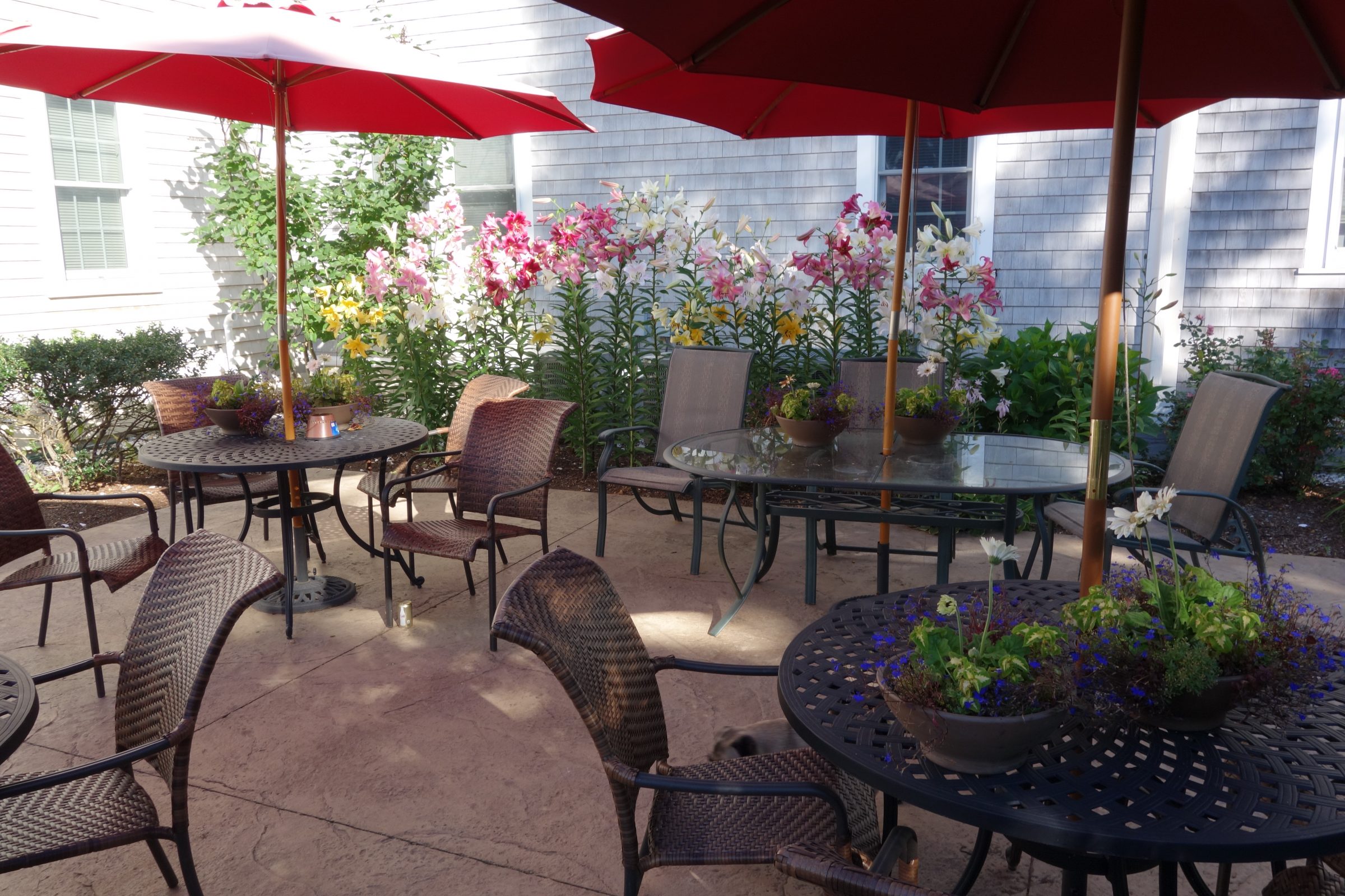 Campus Update: May 2020 - Decatur House Assisted Living Residence